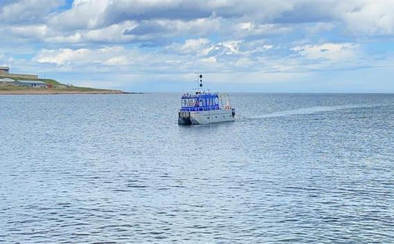 Wren Hall Converter Station early works construction update | EGL2